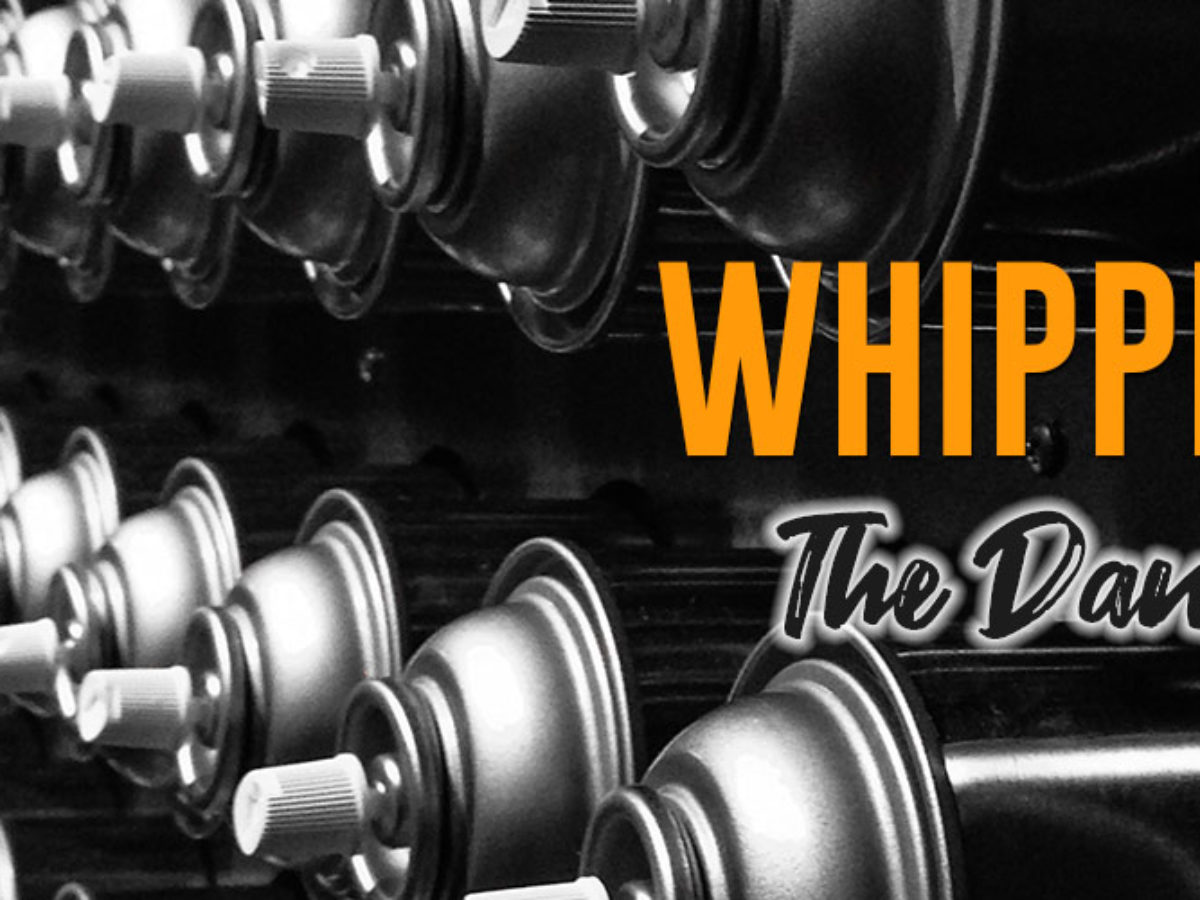 Do Whippets Kill Brain Cells